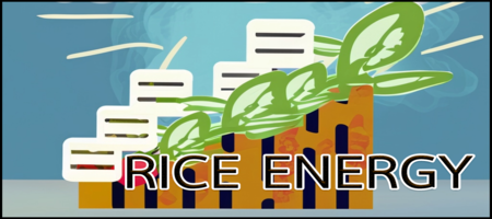 เว็บไซต์กรมการข้าว