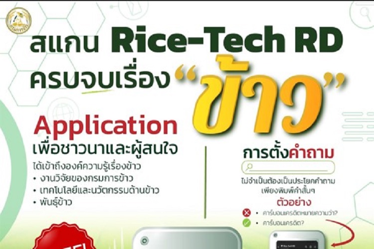 Rice - Tech RD
