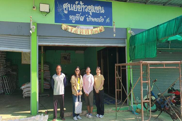 เว็บไซต์กรมการข้าว