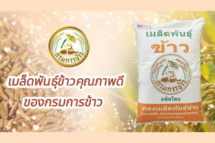 ตามหาข้าวพันธุ์ดี