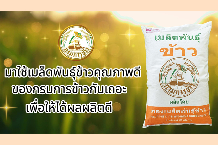 มาใช้เมล็ดพันธุ์ข้าวของกรมการข้าวกันเถอะ