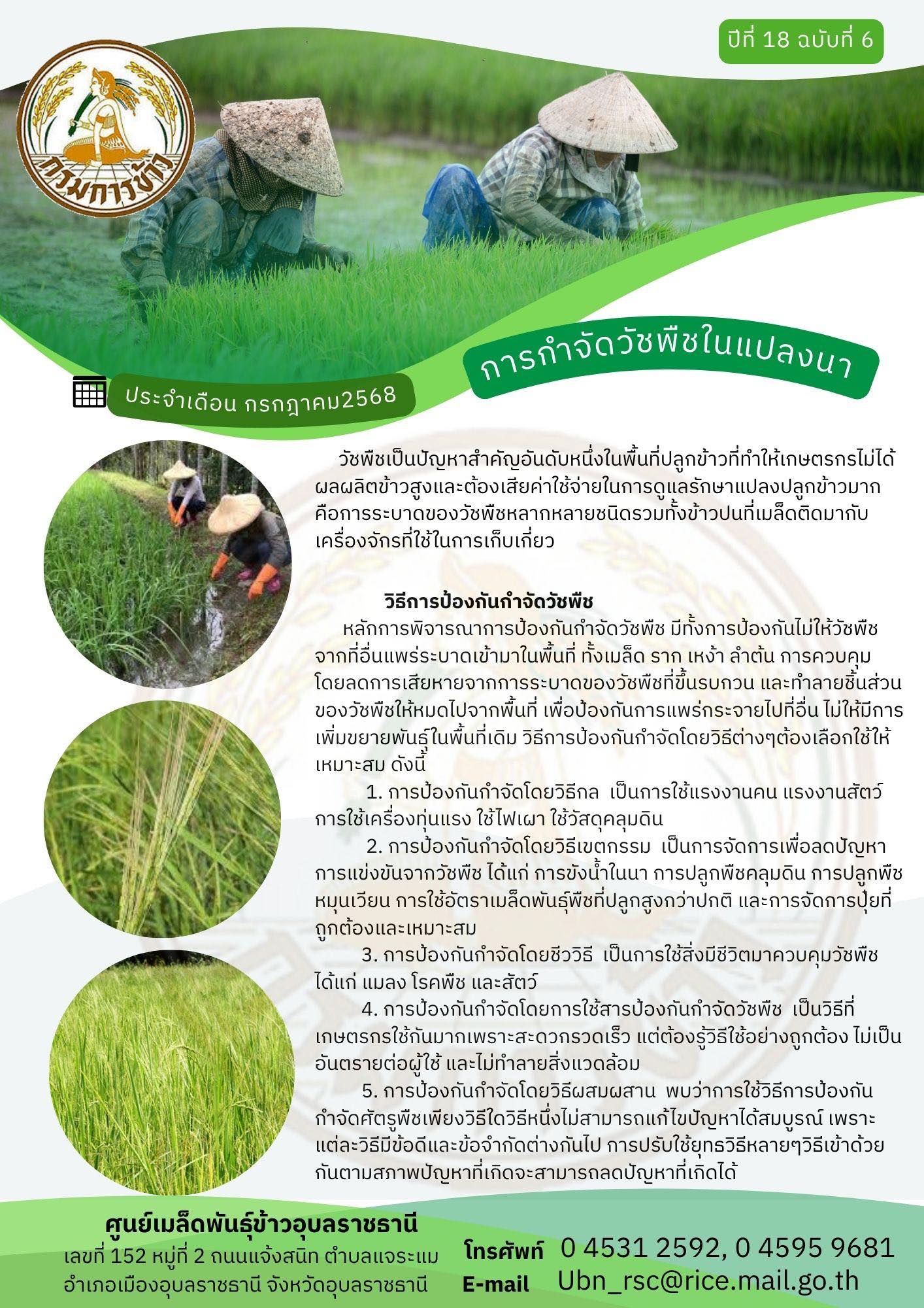 โรคข้าวที่พบในระยะการเจริญเติบโตของข้าว