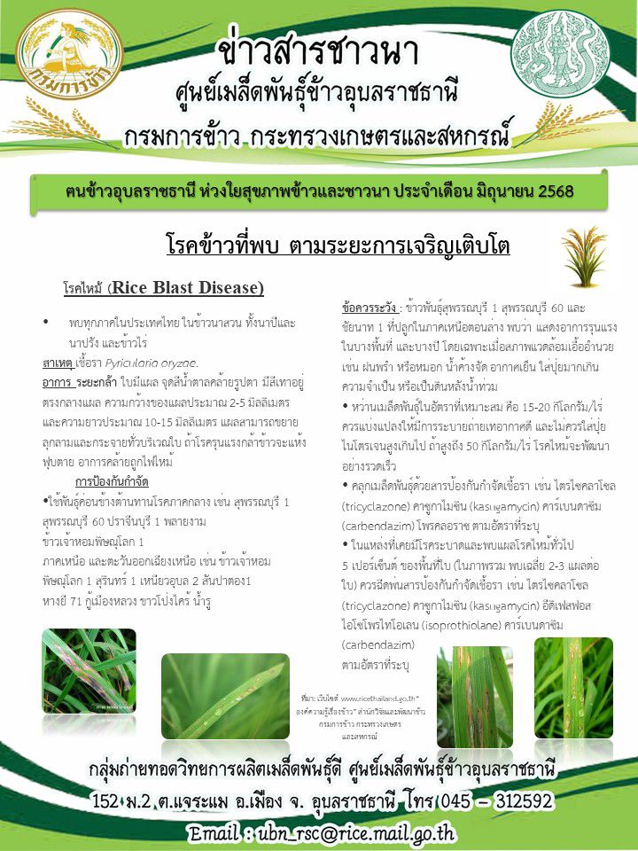 จัดซื้อจัดจ้าง