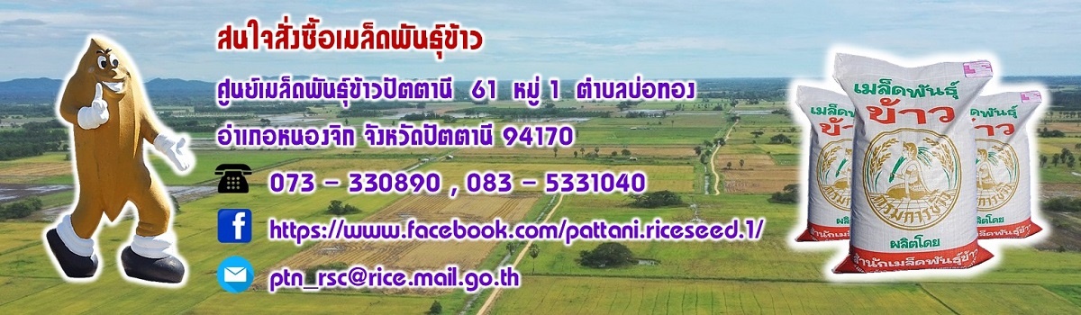 เว็บไซต์กรมการข้าว